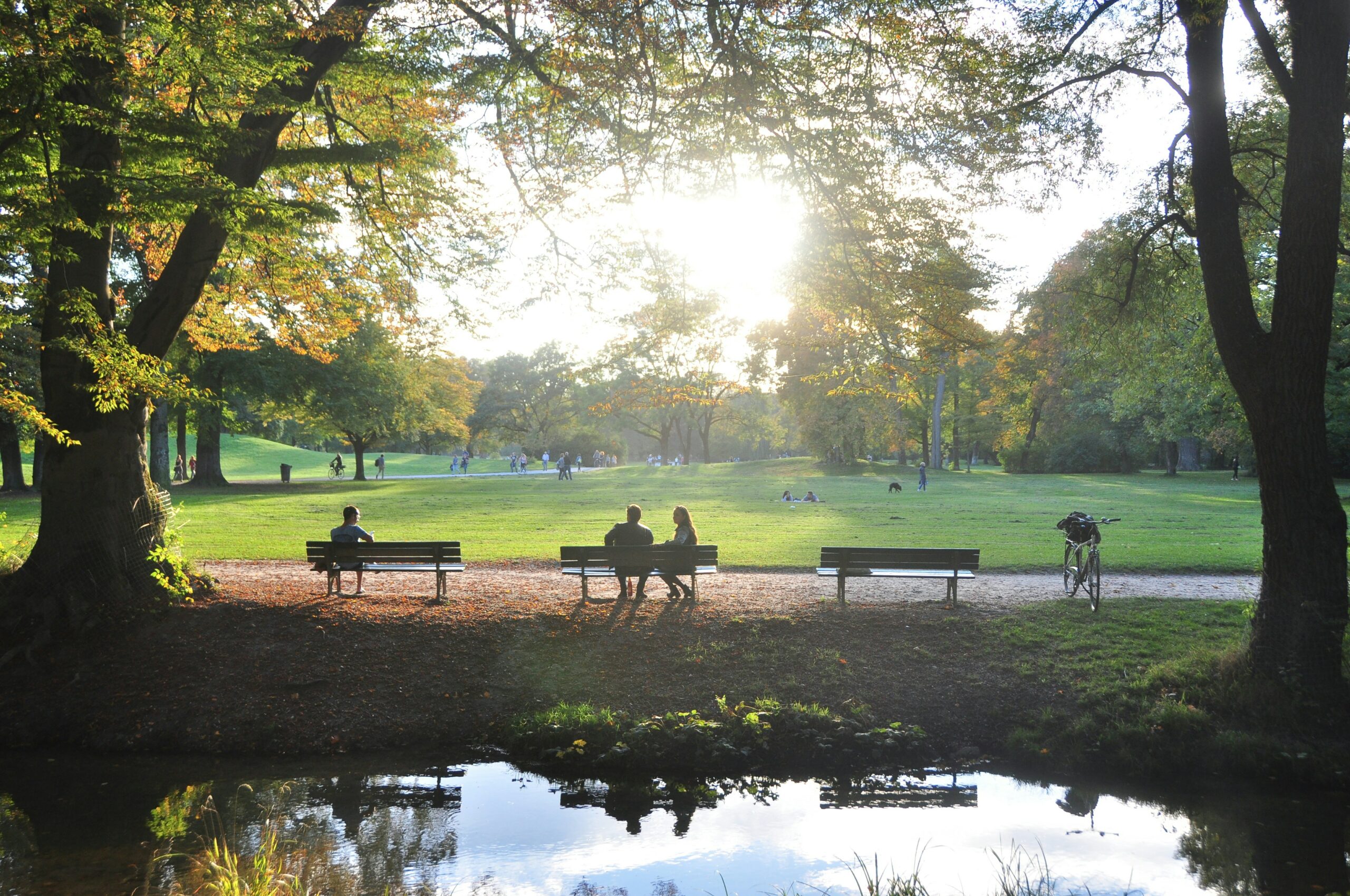 The Friendship Bench - Cary Yoga Collective